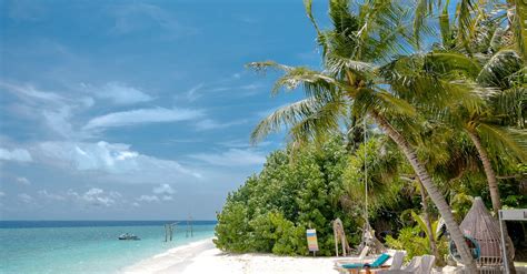 休閒 假日 假期 偏遠的海灘 優美的風景 吊床 夏天 天堂 天堂海灘 天性 寧靜 岸邊 平靜的海面 戶外 招手 放鬆 旅行 日光 晴天 晴朗的天空