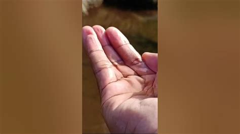 හෝටන් ප්ලේන්ස් වල ඕගොල්ලෝ කවදාක්වත් දැකලා නැති පිරිසුදු වතුර තියෙන තැනක්😮😮😮 Youtube