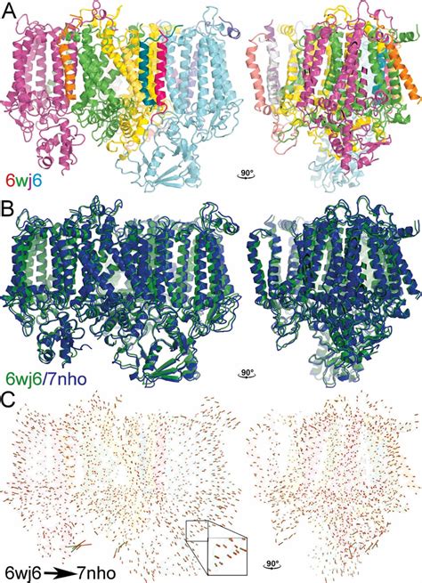 Comparison Of Two Monomeric Apo Psii Coordinates A Two Orthogonal Download Scientific