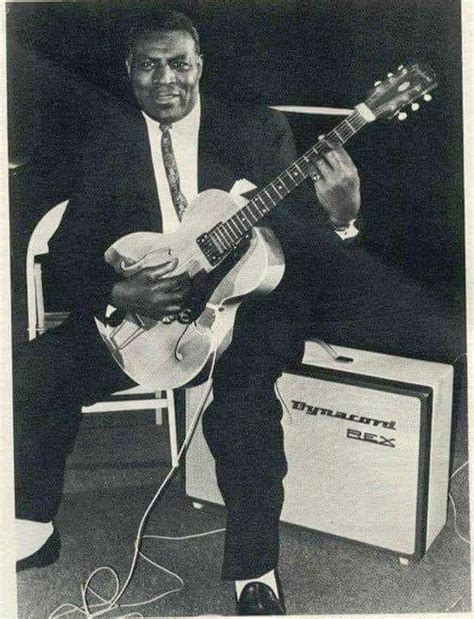 Howlin Wolf Roldschoolcoolmusic