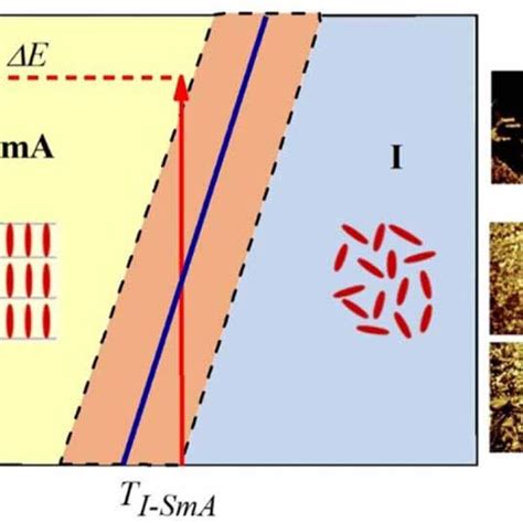 Schematic Electric Field Temperature Phase Diagram For Smectic A Sma Download Scientific Schematic Electric Field Temperature Phase Diagram For Smectic A Sma Download Scientific