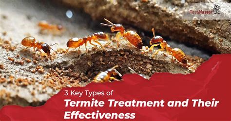 Termite Treatment Options Are There Tentless Termite Treatment