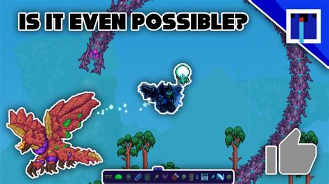 How To Install Tmodloader Mobile Lalarlinx