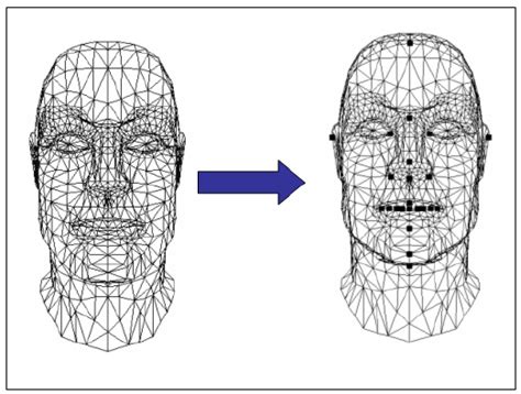 automatic detection of feature points download scientific diagram