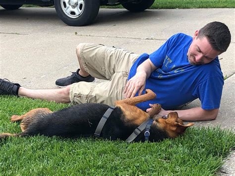 Associated Veterinary Associated Veterinary Specialists