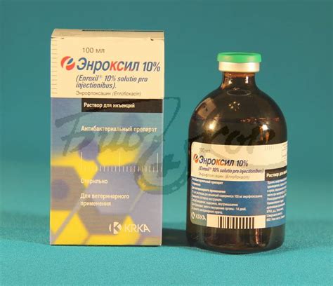 Энроксил для кошек - инструкция по применению