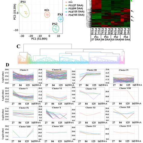 Dynamic Metabolome Of Apple Development And Ripening A Principal