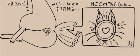 Rule 34 After Sex Anus Bodily Fluids Cum Cum In Pussy Cum Inside Female Feral Genital Fluids