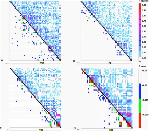 Linkage Disequilibrium Along Chromosome 1 Linkage Disequilibrium For