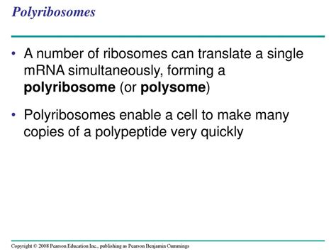 Overview The Flow Of Genetic Information Ppt Download
