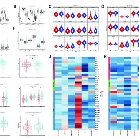 Exploration Of The Features Of Immune Microenvironment Between The