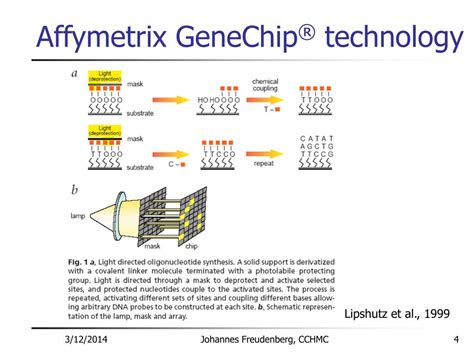 Ppt Affymetrix And Bioconductor Powerpoint Presentation Free Download Id 407980
