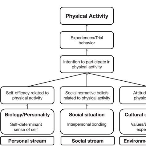 A Theoretical Framework Based On The Theory Of Triadic Influence 17