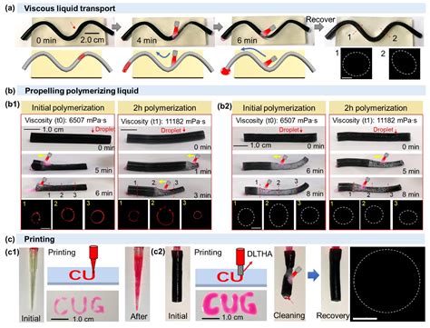 中国地质大学（武汉）夏帆、陈林峰团队《adv Mater 》：肠胃蠕动启发的双层管状水凝胶驱动器用于黏性液体的定向输送 中国聚合物网科教新闻