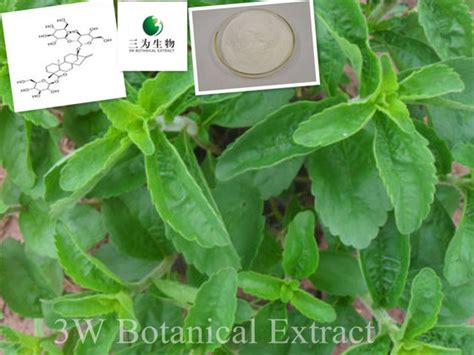 New Methods For Stevia Extraction