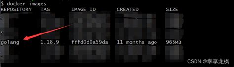 Docker部署go Gin框架 Windows环境win Docker Go Csdn博客