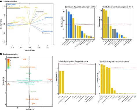 Multiple Factor Analysis Of The Dominant Bacterial Species Phage