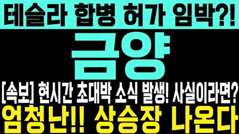 🔴 금양 주가전망 2차전지 주가전망 🚨긴급속보🚨테슬라 합병 허가 임박 현시간 초대박 소식 발생 사실이라면 엄청난 상승장 나온다 Youtube