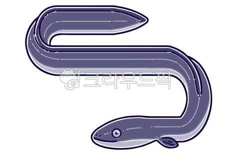 장어 뱀장어 바다장어 붕장어 갯장어 사진 이미지 일러스트 캘리그라피 Goodenbop작가