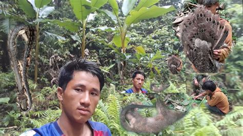 2mpทะมาหากินในป่าลําบานจืงๆเลียให้โดอรล Youtube
