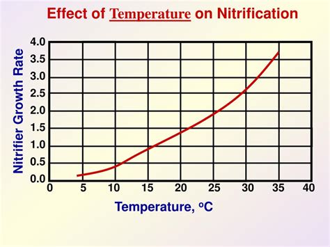 PPT Nitrification And Denitrification PowerPoint Presentation Free Download ID