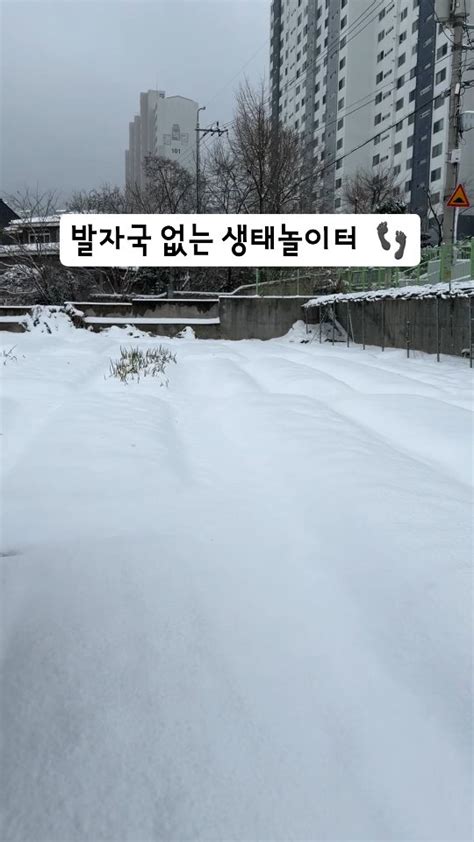 박 영주 숲놀이터 대장 빵주샘 남 복고데이 2탄 ️[놀이 4가지] 1 두근두근 점빵 뽑기 놀이 2 점핑점핑 말 달리기 놀이 3 고무신 던지기 4 Dj