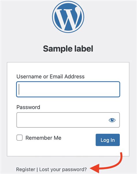 12 Reasons Why You Can T Access Wp Admin With Easy Fixes