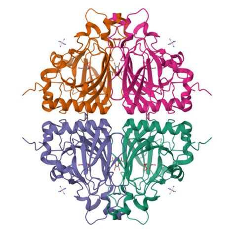 Rcsb Pdb 4q0s Crystal Structure Of Acinetobacter Sp Dl28 L Ribose Isomerase In Complex With
