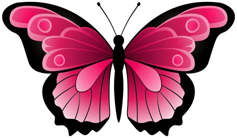 Pink Butterfly Png