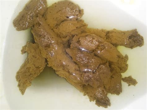 Shits After Work Image 309271 Thisvid Tube