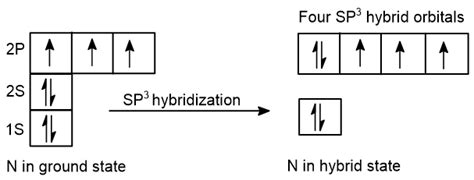 Hybridization NEB Grade Notes Physical Chemistry Sajha Notes