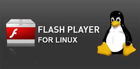 Install Adobe Flash Player For Kali Linux Tutorials Motobad