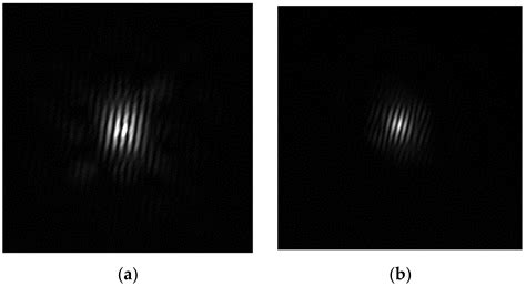 Digital Fourier Transform Holography Using A Beam Displacer
