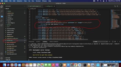 Ionic IOS Camera Permission Still Denied After Set Usage Description In Config Xml Stack Overflow