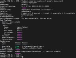 Kubernetes Pod Troubleshooting Commands With Examples