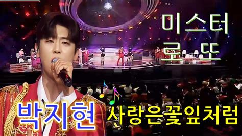 박지현사랑은꽃잎처럼 미스터로또 Youtube
