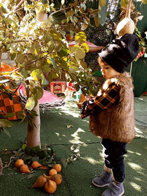 საბავშო ბაღი ცეროდენა ცეროდენა აცხადებს ბავშვების მიღებას2 5წლიდან 6წლამდე მსურველები