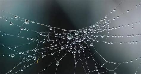 Web Scraping With Python Techtales