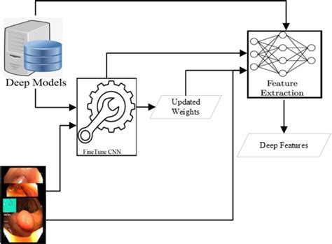 Real Time Anatomical Landmarks And Abnormalities Detection In Gastrointestinal Tract Peerj