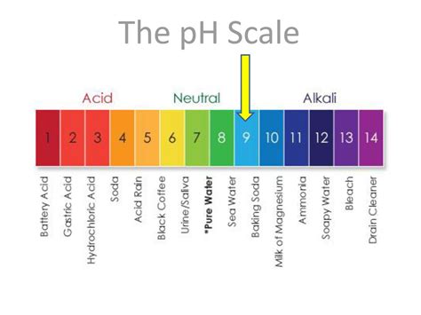 The pH Scale. - ppt download