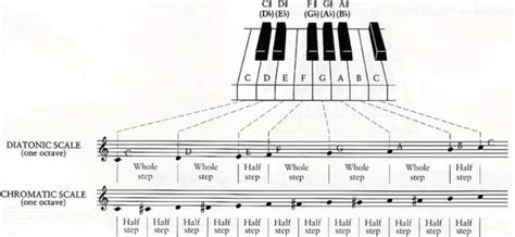 Diatonic Scale 101 Theory Essentials For Inspired Producers