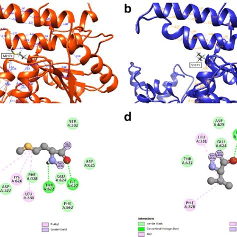 Abbreviations Atrx Alpha Thalassemia X Linked Intellectual Disability Download Scientific