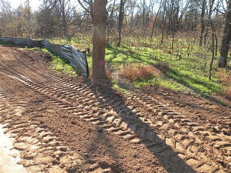 Soil Compression From Construction A Threat To Trees