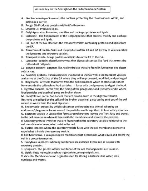 Cell Organelles Spotlight On The Endomembrane System By Biology Buff