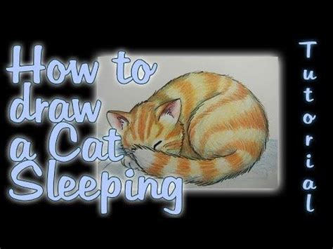 How To Draw A Cat Sleeping Cute Cat Drawing Cat Sleeping Kawaii Cat Drawing
