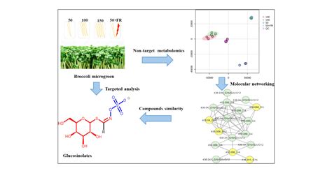 Metabolomics And Molecular Networking Approach For Exploring The Effect Of Light Intensity And