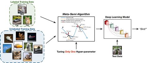 semi supervised learning algorithms atelier yuwa ciao jp