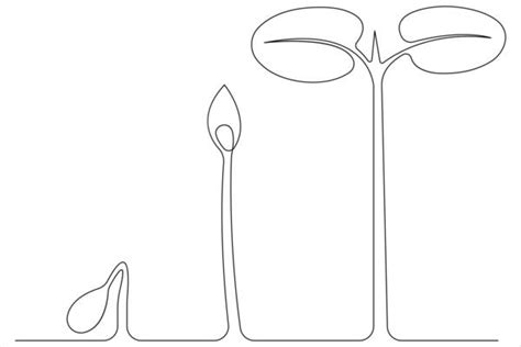 Page 2 Lily Pad Outline Vector Art Icons And Graphics For Free Download