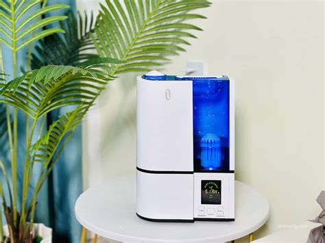 Levoit Humidifier Not Working A Complete Troubleshooting Guide Air Smartly