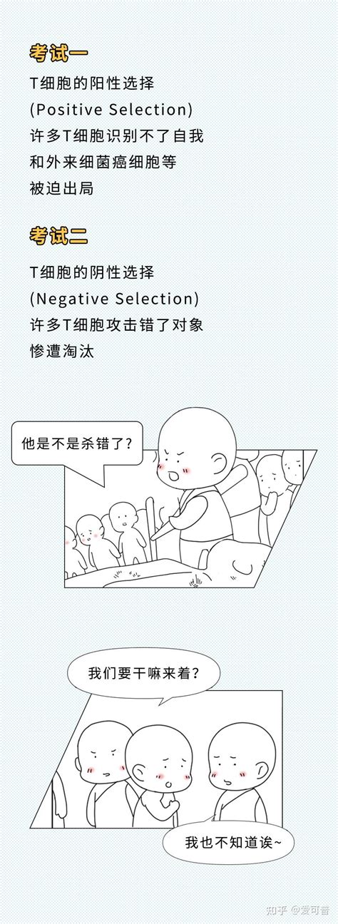 漫画科普 免疫t细胞的种类，作用分别是什么？ 知乎